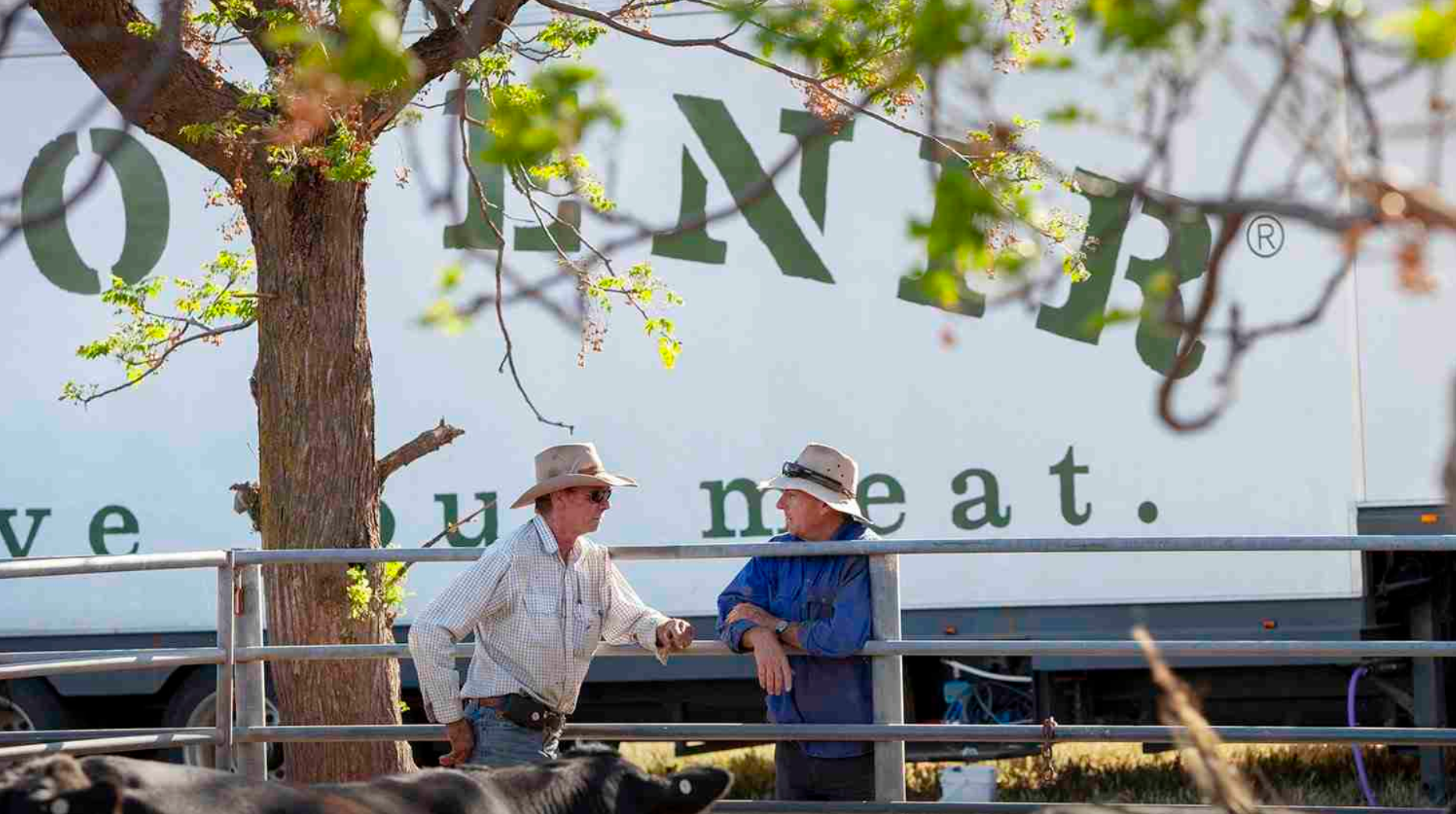 About Our Animal Produce – The Good Farm Shop