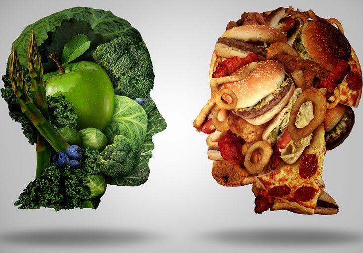 The Fundamental Importance of Real Food – The Good Farm Shop