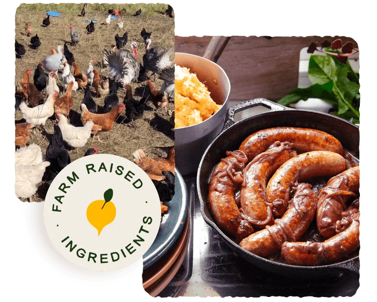 About Us – The Good Farm Shop